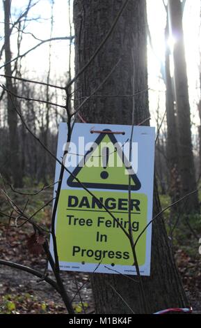 tree cutting warning signs Stock Photo - Alamy