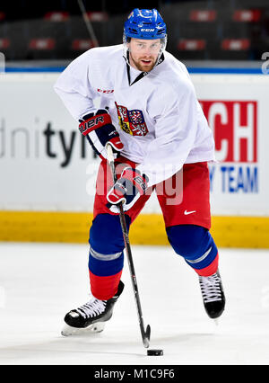 Jiri Sekac, ice hockey player of the Czech national team, attends a ...