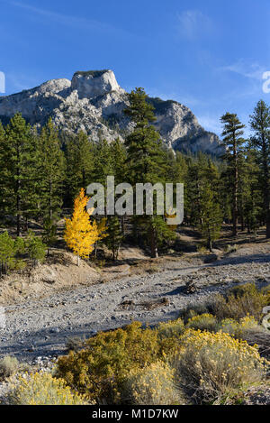 The mountain landscape of Mount Charleston Stock Photo - Alamy