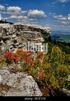 Bear Rocks Dolly Sods West Virginia Stock Photo - Alamy