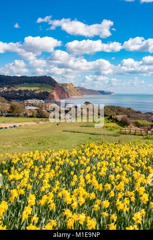 England Devon Sidmouth 31 March, 2016 The lovely, old, Norman church in ...