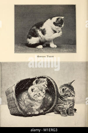 'Alexander and Some Other Cats' (1929) is a collection of stories and ...