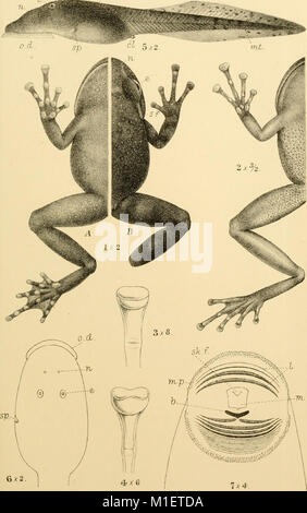 This journal, published between 1909 and 1916, focuses on the ...