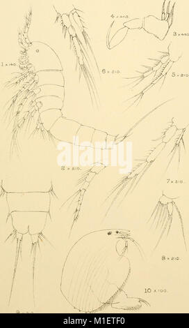 The African Invertebrates journal (1909-1916) focuses on biodiversity ...