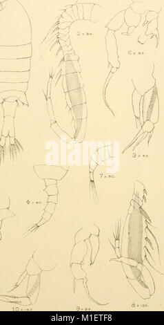 The African Invertebrates journal (1909-1916) focuses on biodiversity ...