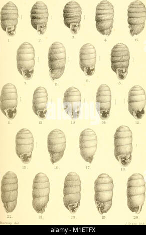 'African Invertebrates' is a journal of biodiversity research published ...