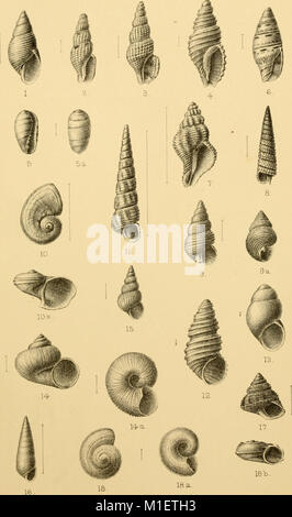 The African Invertebrates journal (1909-1916) focuses on the study of ...