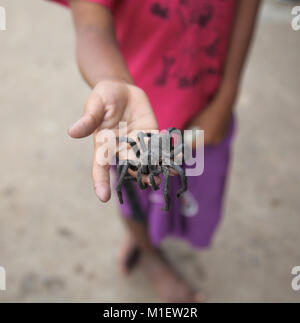 the small town of skuon or spider town cambodia where all sorts of ...