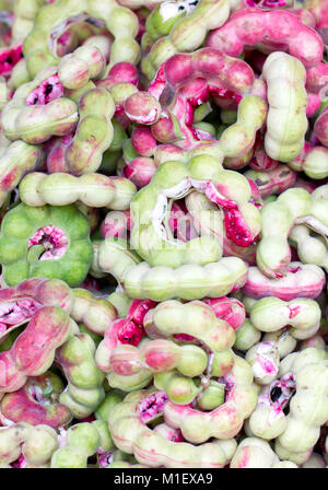 Group of Manila tamarind fruit or Pithecellobium dulce is another type ...