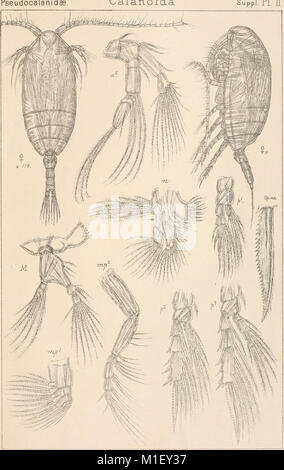 This 1901 work provides a detailed account of the crustacean species ...