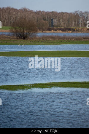 Darchau, Germany. 30th Jan, 2018. The level of the waters of the Elbe can be seen at a measuring ...