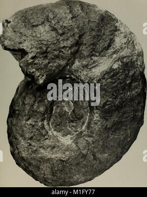'Abhandlungen der Geologischen Bundesanstalt' (1900) is a geological ...