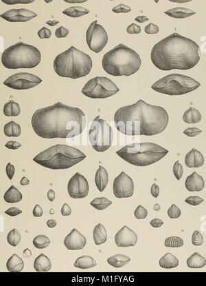 This 1890 publication from the Geological Federal Institute offers ...