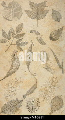 'A Compendium of Physiological and Systematic Botany' (1820) provides ...