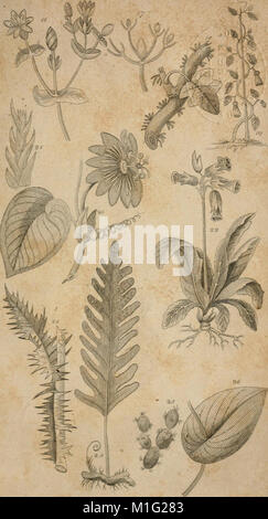 This 1820 compendium of physiological and systematic botany provides a ...
