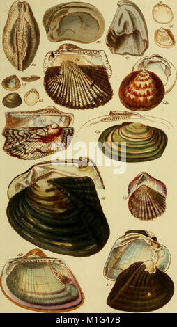 This manual of zoology includes detailed illustrations and explanations ...