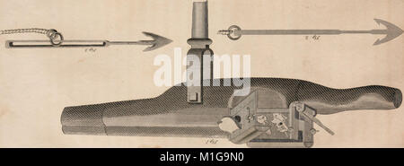 'American Natural History: Part 1 - Mastology' (1828) explores ...