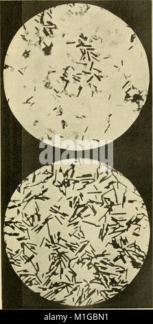 The 1912 *Annales de l'Institut Pasteur* publishes key scientific ...