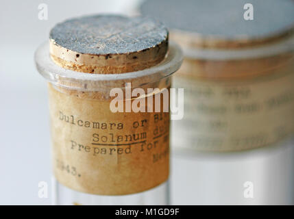 Vintage Glass Specimen bottles Stock Photo - Alamy
