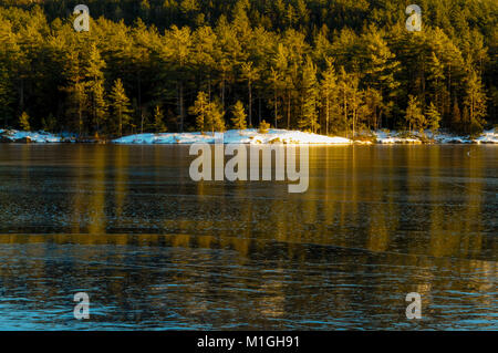 Trees And Ice, Pharoah Lake, Pharoah Lake Wilderness Area, Adirondack ...