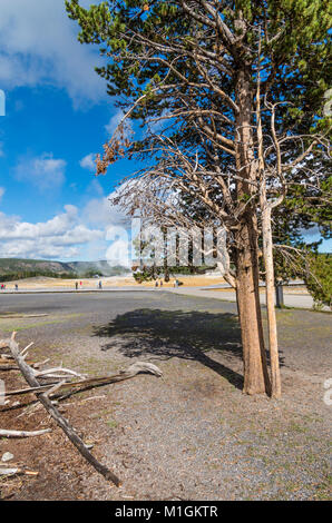 Old Faithful, Upper Geyser Basin, Yellowstone National Park, Wyoming ...