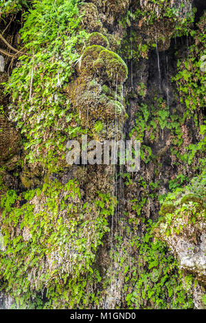 Thin stream of clean water flowing on rough mountain slope in Cirque de ...