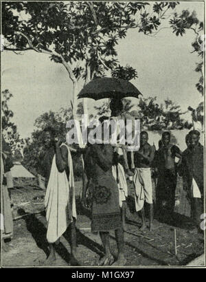 *Am Tendaguru* (1912) details the German research expedition in German ...