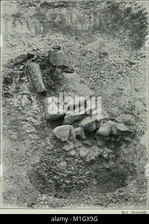 'Am Tendaguru' (1912) details the German excavation expedition in ...