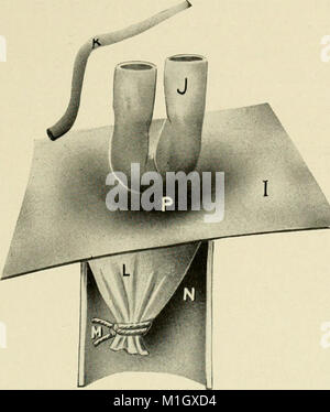 'Animal Castration' (1914) provides detailed guidance for students and ...