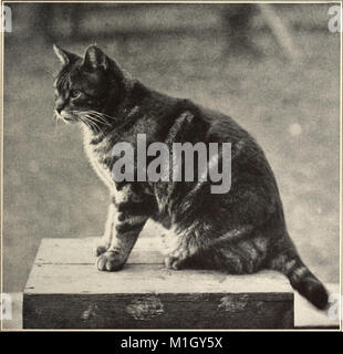 'Alexander and Some Other Cats' (1929) is a collection of stories and ...