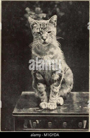 'Alexander and Some Other Cats' (1929) is a collection of stories and ...