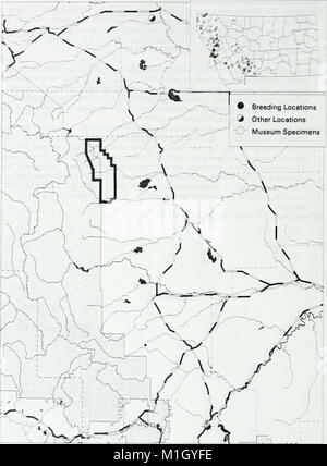 This 1996 survey focuses on amphibians, reptiles, and the northern bog ...