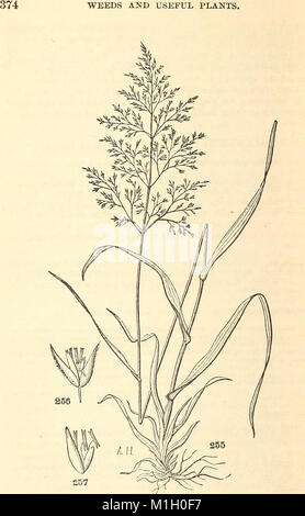 This 1859 illustrated edition of *Agricultural Botany* provides a ...