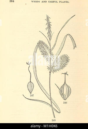 This 1859 illustrated edition of *Agricultural Botany* provides a ...