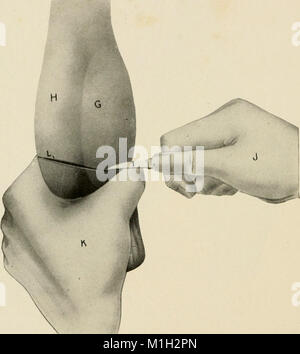 *Animal Castration* (1914) provides a detailed guide for students and ...