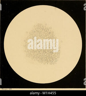 This guide to scientific microscopy provides detailed instructions on ...