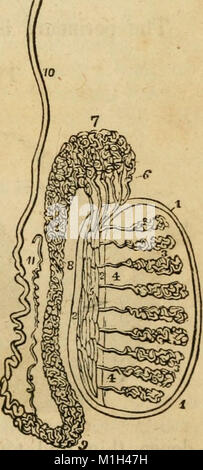 . An analytical compendium of the various branches of medical science ...
