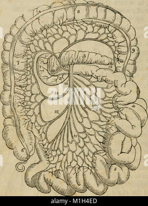 . An analytical compendium of the various branches of medical science ...
