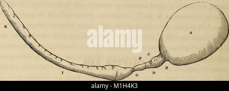 . A Complete practical work on the nature and treatment of venereal ...