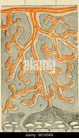 This 1897 textbook on physiology provides a comprehensive overview of ...