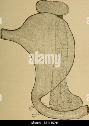 This 1889 textbook provides an educational overview of human anatomy ...