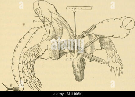 'An American Text-book of Physiology' (1897) is a comprehensive ...