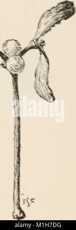 A Christmas Carol, published in 1900, is a novella by Charles Dickens ...