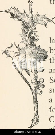 This 1900 edition of *A Christmas Carol* by Charles Dickens features ...