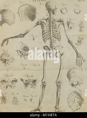 This anatomical work is divided into six parts covering key aspects of ...