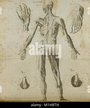 An anatomical guide covering six parts, including osteology, muscles ...