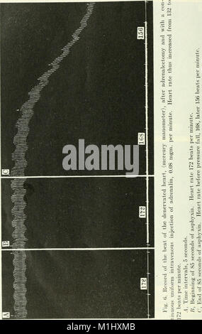 The American Journal of Physiology (1919-20) presents research on ...