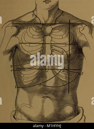 Physical diagnosis, including diseases of the thoracic and abdominal ...