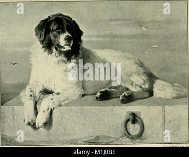 'Landseer - A Collection of Fifteen Pictures and a Portrait of the ...