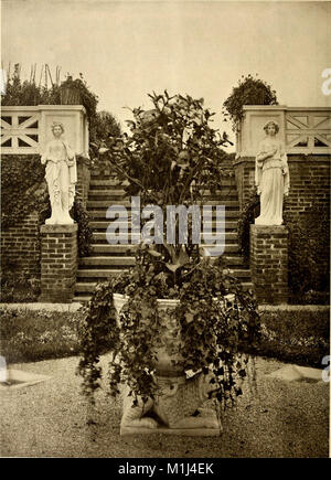 'American Homes and Gardens' (1907) highlights the architecture, design ...